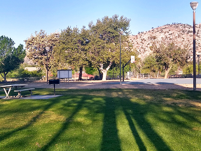 This park's grassy expanse offers the perfect respite after a day on the lake&mdash;where shadows stretch longer than your retirement savings.