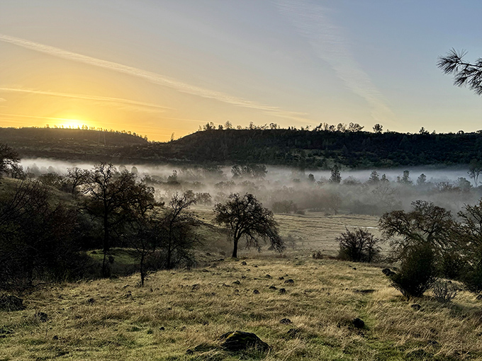 Morning fog blankets Upper Bidwell Park like nature's own comfort quilt, creating the kind of serene vista that makes retirement feel like the promotion you've always deserved.