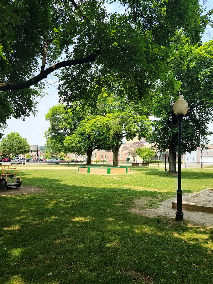 Upper Witmer Park offers a green respite in the heart of town. Those shade trees have witnessed generations of picnics, proposals, and impromptu frisbee tournaments.