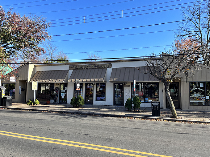 Village Square offers a delightful mix of shops where you might find your next conversation piece or guilty pleasure.