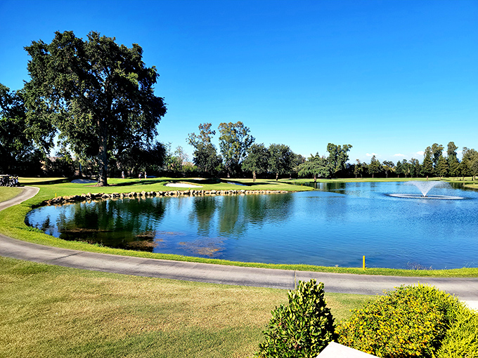 Golf courses here won't require selling your retirement fund for eighteen holes of fun.