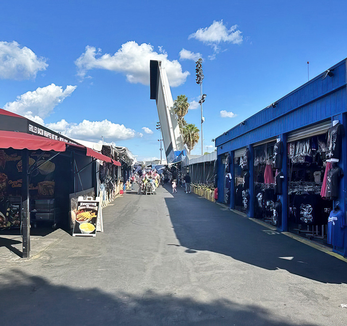Rows of colorful stalls create a canyon of commerce where shoppers navigate between temptations on both sides of the aisle.