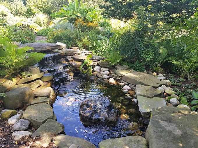 Who needs expensive sound machines when you've got the real thing? This tranquil water feature provides nature's original meditation soundtrack.