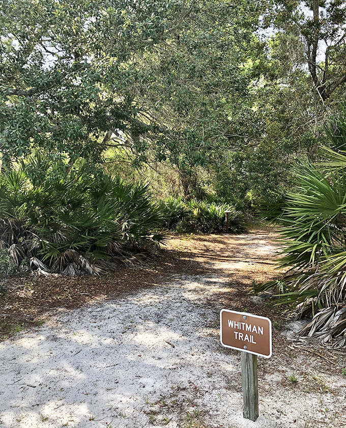 The Whitman Trail beckons like a scene from "The Yearling," promising adventure through a tunnel of native Florida vegetation.