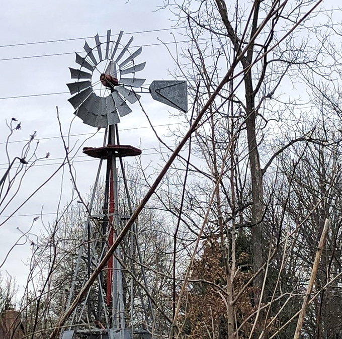 This vintage windmill stands as a charming sentinel among the trees, a nod to Ohio's agricultural heritage in this botanical wonderland.