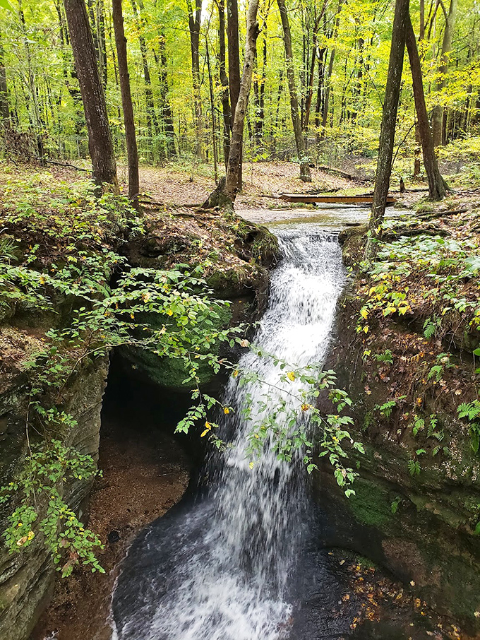 A gentle woodland waterfall creates nature's perfect white noise machine&mdash;the kind you'd pay $79.99 for at Brookstone.