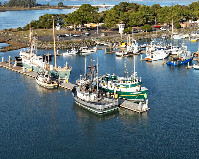 Fishing vessels rest between adventures at Woodley Island Marina, their weathered hulls telling stories of early mornings and abundant catches.