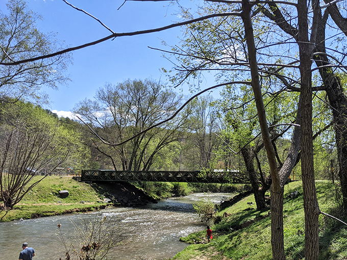 Nature's therapy session awaits at Yahoola Creek, where the gentle burble of water drowns out your email notifications perfectly.