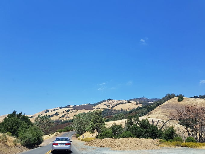 The winding road to enlightenment&mdash;or at least to a spectacular view&mdash;makes every hairpin turn worth the white-knuckle moments.