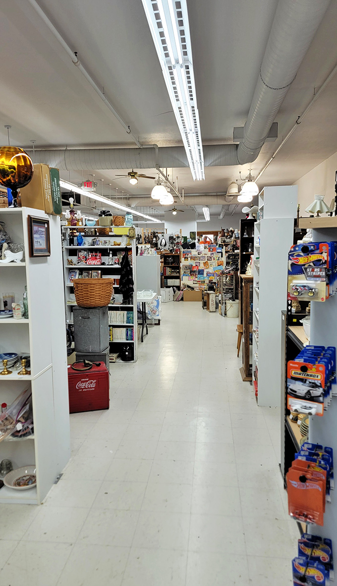 Nostalgia lines these pristine aisles where Hot Wheels and Matchbox cars await collectors who've grown up but never quite outgrown their childhood passions.