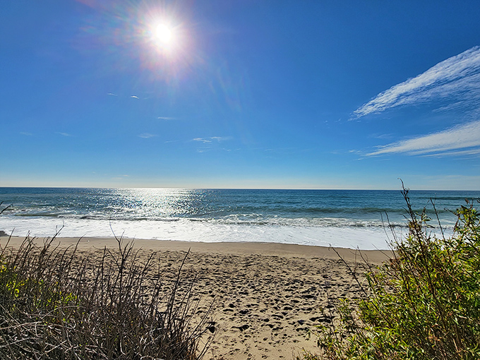 Postcard-perfect doesn't begin to describe this stretch of pristine shoreline. The kind of beach that makes you question every life decision that doesn't involve living near the ocean.