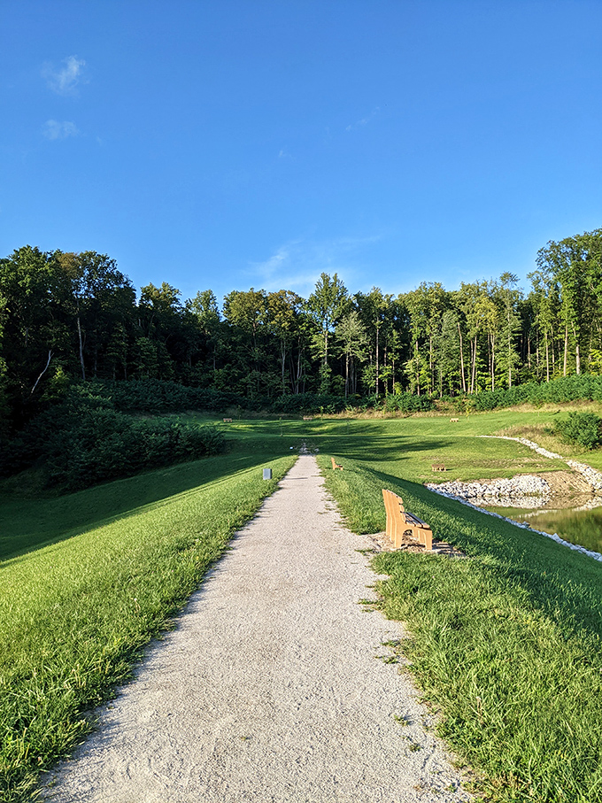 This gravel path whispers promises of lakeside tranquility, with a strategically placed bench that practically begs you to pause and breathe. 