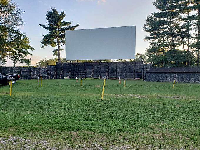 The towering white screen stands sentinel against a backdrop of tall pines, waiting for darkness to transform into a portal of imagination.