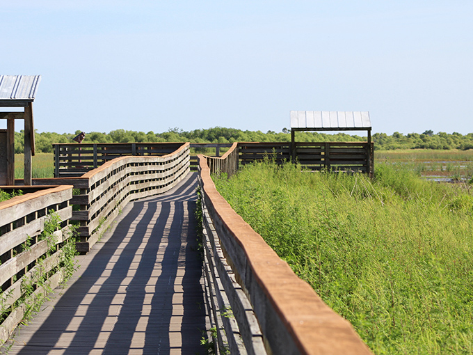 This winding boardwalk isn't just a path&mdash;it's nature's red carpet, inviting you to strut your stuff through Myakka's vast prairie landscape.