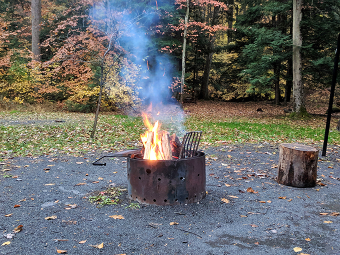 Primal entertainment at its finest&mdash;a crackling campfire surrounded by fall foliage. No Netflix subscription required for this timeless show of dancing flames.