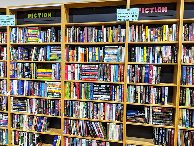 Bookworms, rejoice! This literary goldmine houses enough stories to last several pandemic lockdowns, all for less than a streaming subscription.