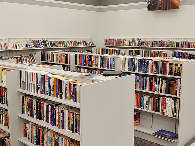 Literary adventures await on every shelf - from romance novels to cookbooks that promise culinary redemption.