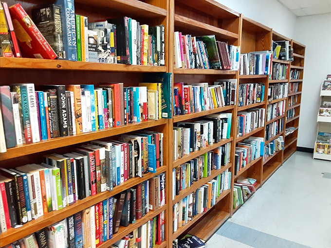 Bookworms rejoice! These wooden shelves hold forgotten bestsellers and hidden classics waiting for their second chance at literary stardom.