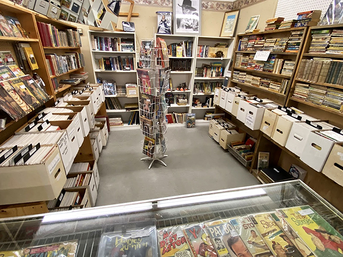 A bibliophile's dream come true&mdash;where forgotten stories wait patiently on shelves for someone new to fall in love with their pages.