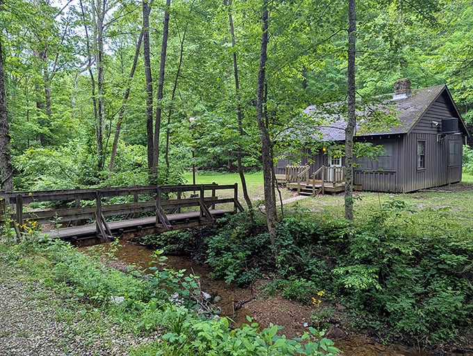 This woodland cabin could convince even the most dedicated city-dweller to consider a simpler life. Thoreau would have upgraded from Walden for this view.