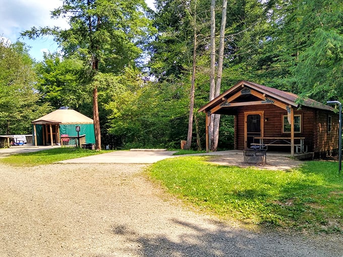 Cabin or yurt? Why choose when Chapman offers both? These woodland accommodations prove "roughing it" can still include a solid roof and actual walls.