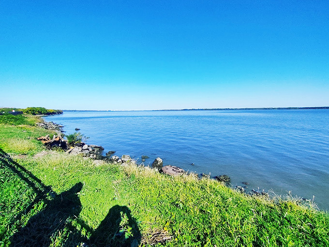 Delaware's answer to meditation apps: uninterrupted blue stretching to the horizon. No subscription required, just show up and breathe.