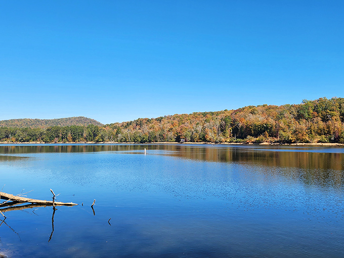 Mirror, mirror on the lake. Lake Tillery's glass-like surface perfectly reflects the surrounding hills, creating a double dose of natural beauty.