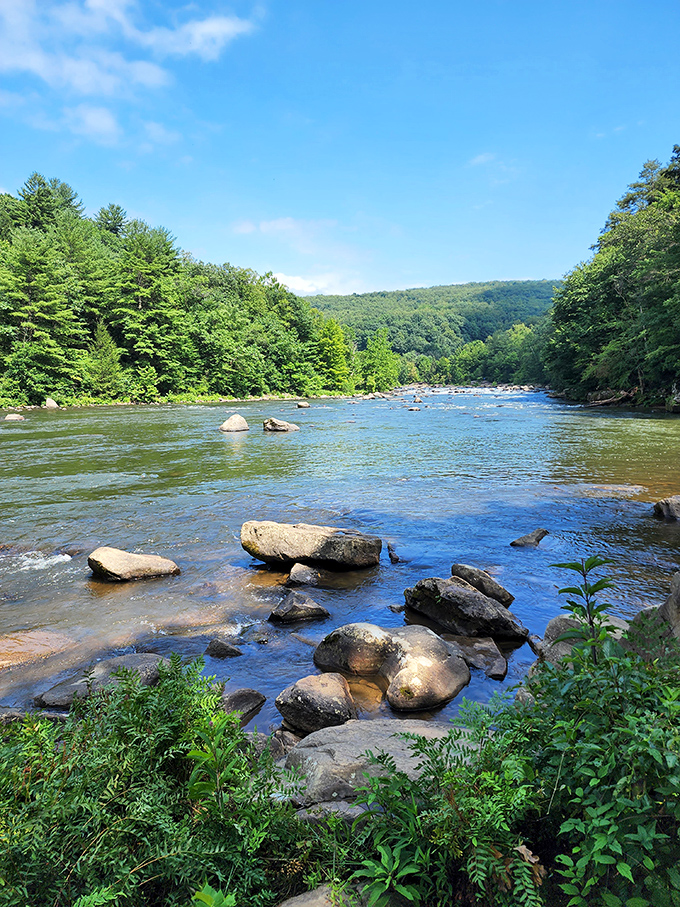 The Youghiogheny River offers a moment of tranquility amid Pennsylvania's wilderness. Those rocks have stories older than America itself.