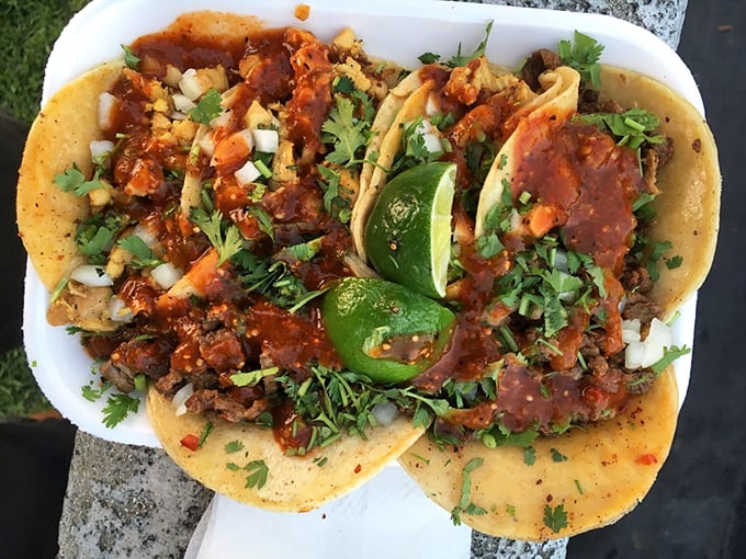 Behold the masterpiece: carne asada tacos that could make a grown person weep tears of pure, unadulterated joy.