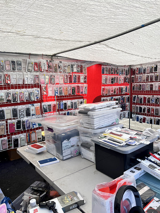 Phone case nirvana! More options than streaming services, and unlike your monthly subscriptions, these won't drain your bank account.