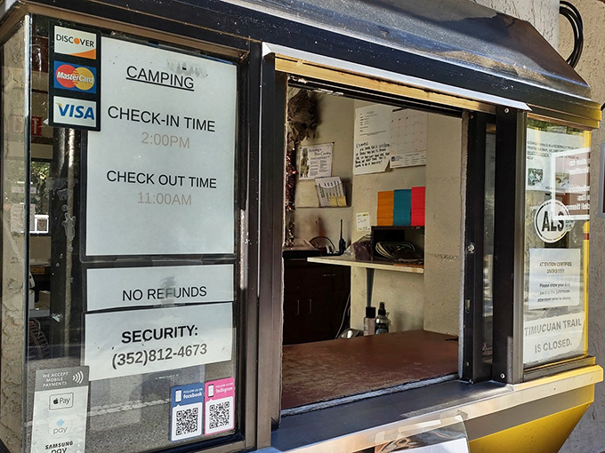 No fancy concierge desk needed when Mother Nature is the main attraction. This humble check-in booth is your passport to aquatic adventures.