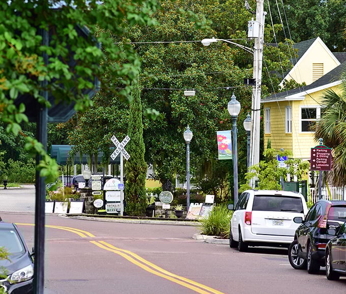 Yellow clapboard buildings and vintage lampposts create Mount Dora's storybook feel. Like stepping into a Hallmark movie, but with better restaurants.