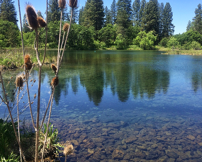 Crystal clarity that puts my home water filter to shame. These waters reveal every pebble beneath&mdash;nature's own aquarium display.