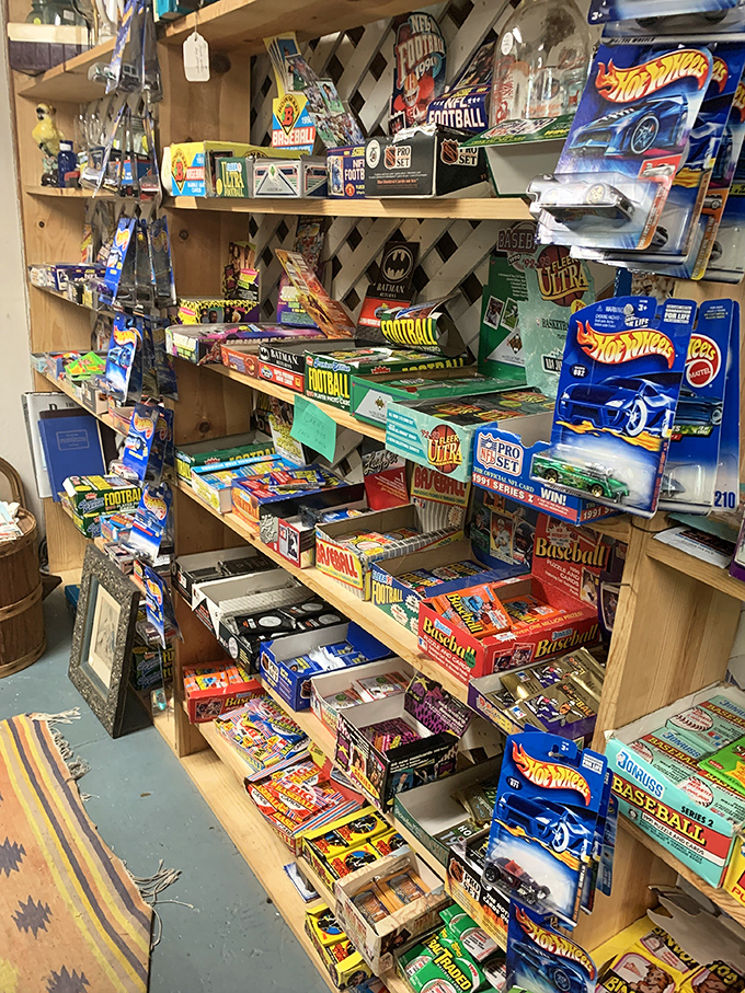 Remember when baseball cards were investments and Hot Wheels were just cool toys? This collection says you were right all along.