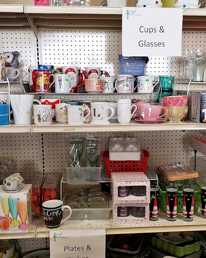 Mugs and glasses organized with military precision. Find your morning coffee's perfect match without breaking the bank.