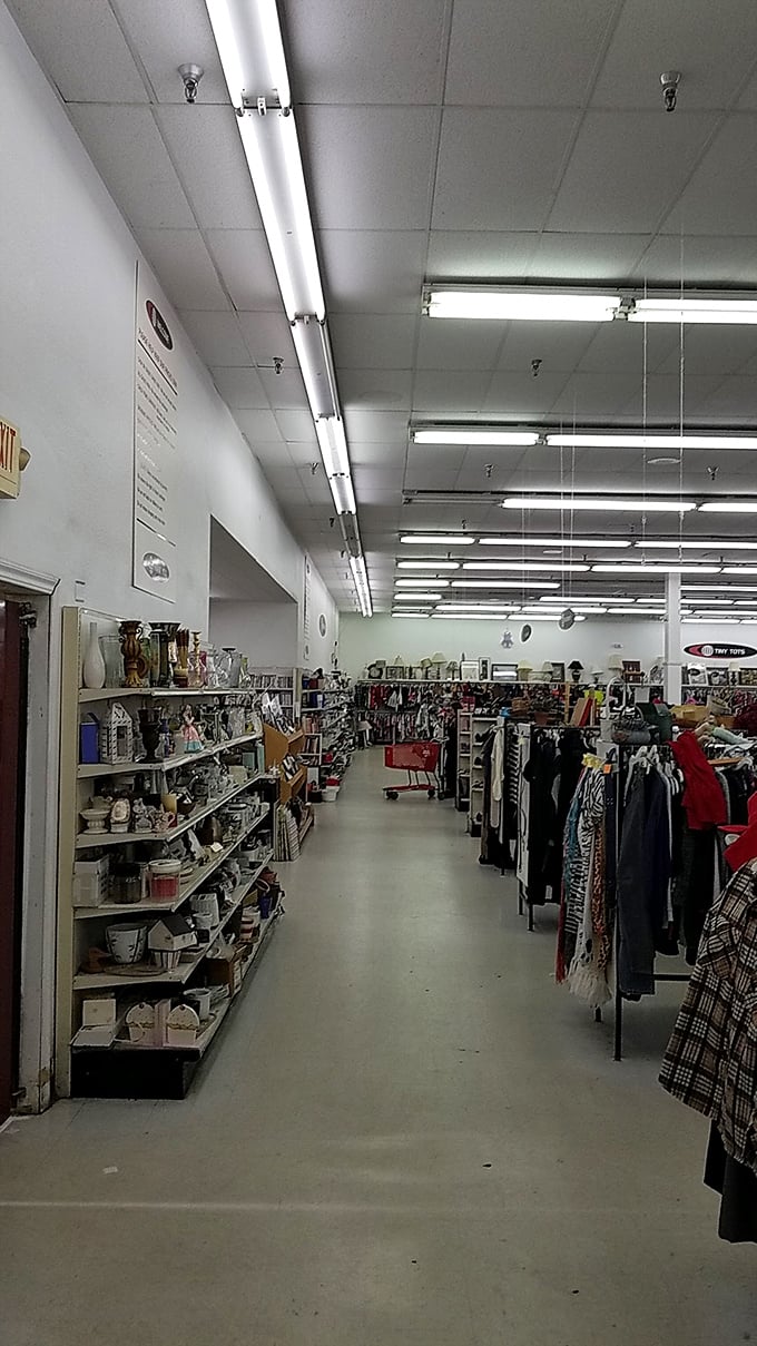 Aisle after glorious aisle of organized chaos&mdash;where housewares meet fashion in a retail symphony that would make Marie Kondo both anxious and impressed.