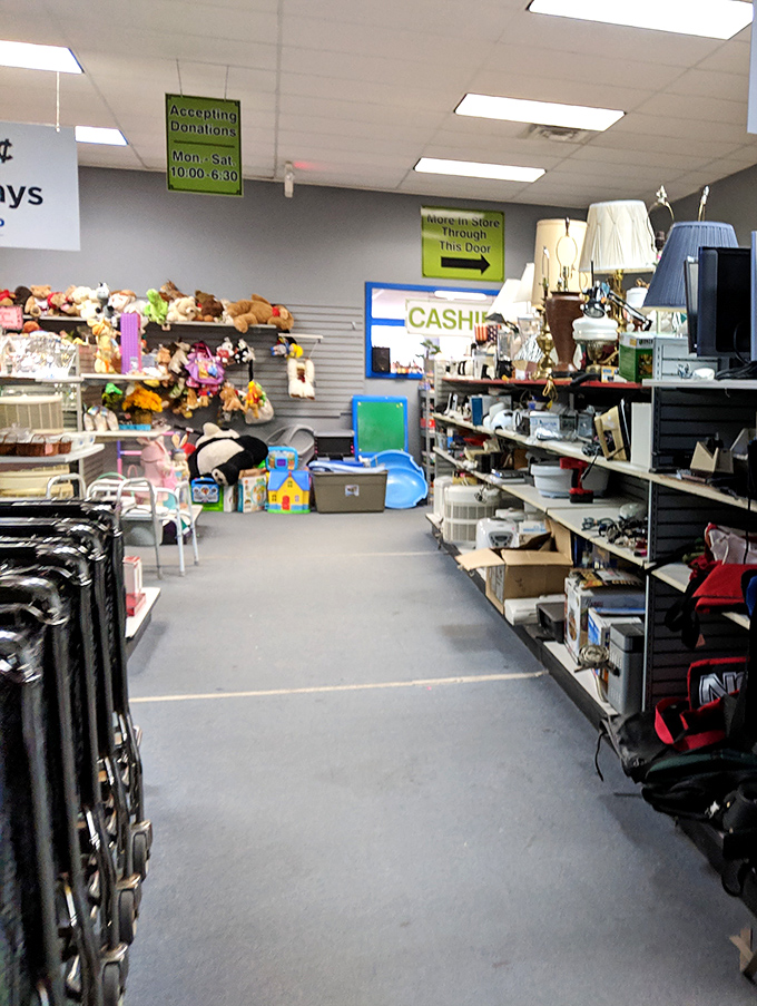 Organized chaos at its finest! The cashier area showcases the delightful variety waiting to be discovered throughout the store.