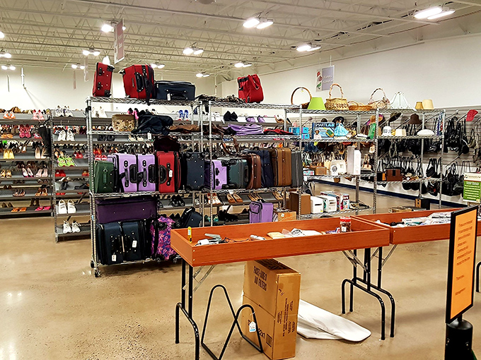 Not your grandmother's thrift store! Meticulously organized shelves showcase luggage, shoes, and accessories that might have you questioning if "used" is the right word.