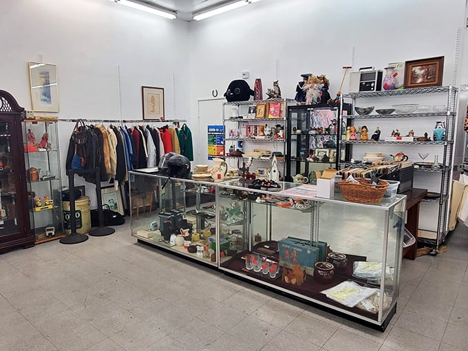 This isn't just a display case&mdash;it's a time capsule of stories waiting to be continued in someone's home.