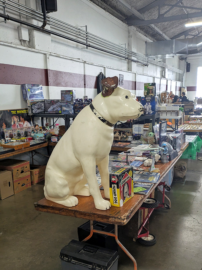 This stoic canine statue stands guard over vintage toys and collectibles. He's been a good boy for decades, never once chasing the merchandise.