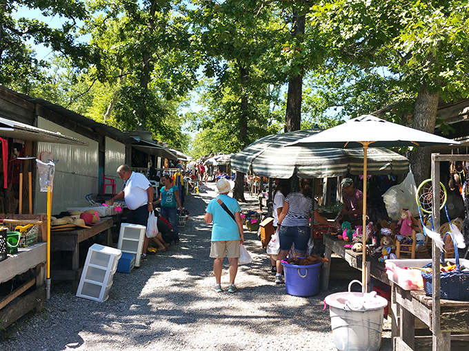 Summer transforms these gravel paths into treasure-hunting boulevards where every umbrella shades a potential discovery.