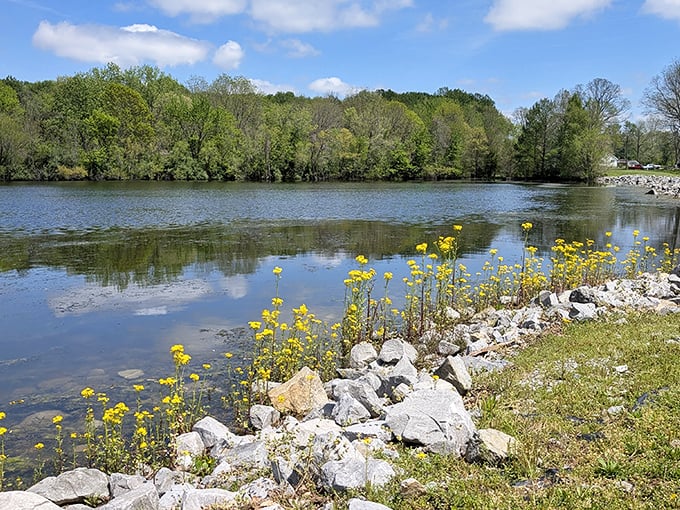 Nature's waterfront property&mdash;where wildflowers stand guard over the tranquil waters of the Wabash River.