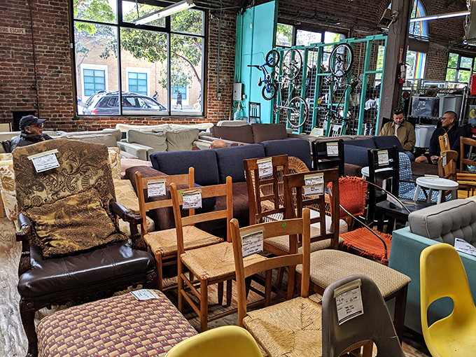 A furniture forest where mid-century meets modern, and every chair tells a story its previous owner couldn't fit into their apartment.