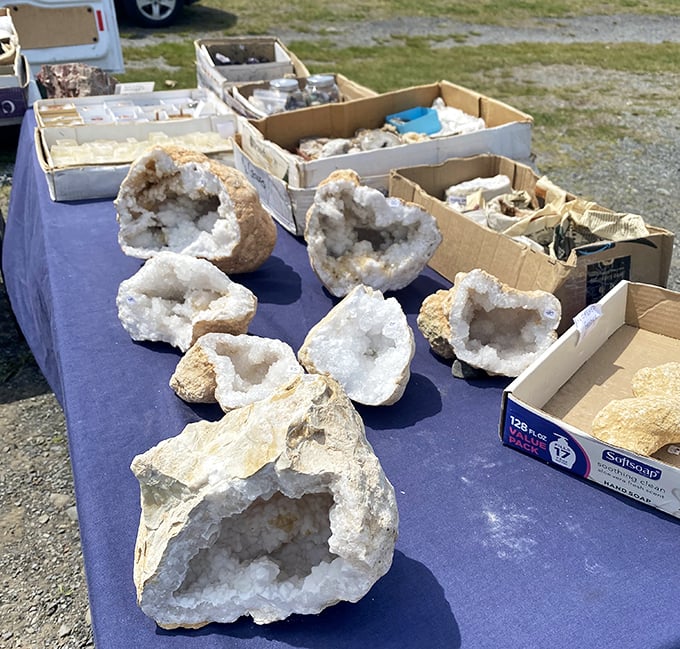 Nature's jewelry box cracked open. These crystalline geodes reveal their sparkling secrets, each one a miniature cathedral of mineral magic.