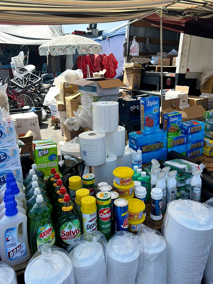 Household essentials at jaw-dropping prices. Who knew buying laundry detergent could feel like winning the lottery?