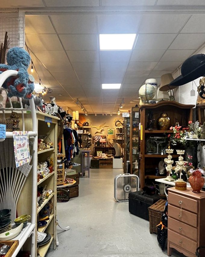 Every aisle tells a different story – from vintage clothing to antique furniture, with unexpected treasures like that blue plush creature watching over the proceedings.