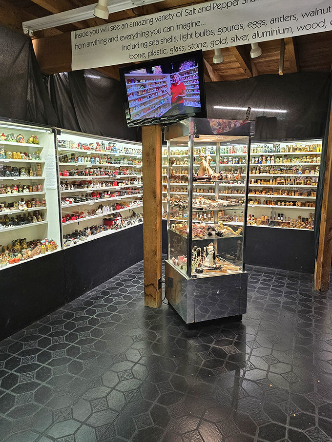 Wall-to-wall display cases showcase thousands of shakers in every imaginable design. It's like the Louvre of tabletop seasoning dispensers!