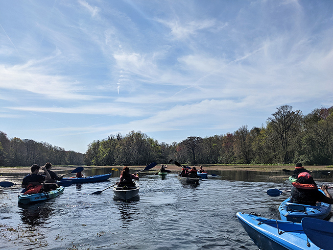 The original Florida cruise line&mdash;no buffet required. Paddlers navigate the gentle current while soaking in wilderness views untouched by development.