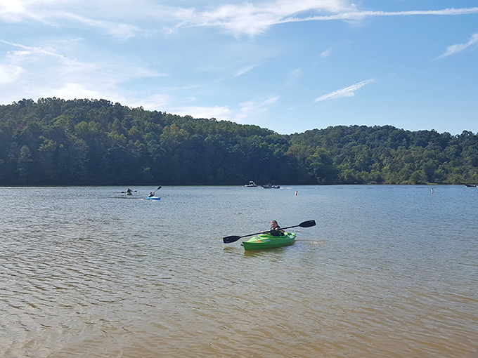Paddling through Salt Fork's pristine waters offers a front-row seat to Ohio's version of paradise. No traffic jams, just rippling serenity.