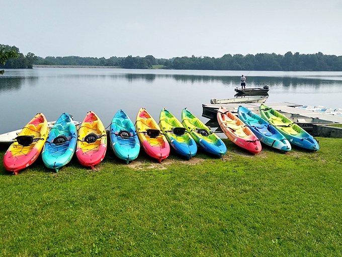 A rainbow armada awaits adventure seekers. These kayaks aren't just boats; they're personal tickets to explore Memorial Lake's hidden corners.